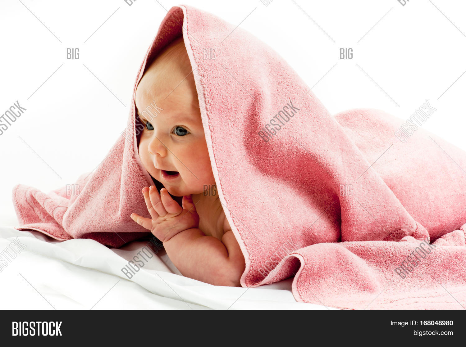 Baby Girl Wrapped Pink Image & Photo (Free Trial) | Bigstock