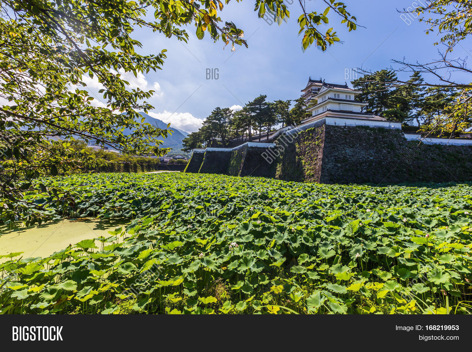 Shimabara Castle , Image & Photo (Free Trial) | Bigstock