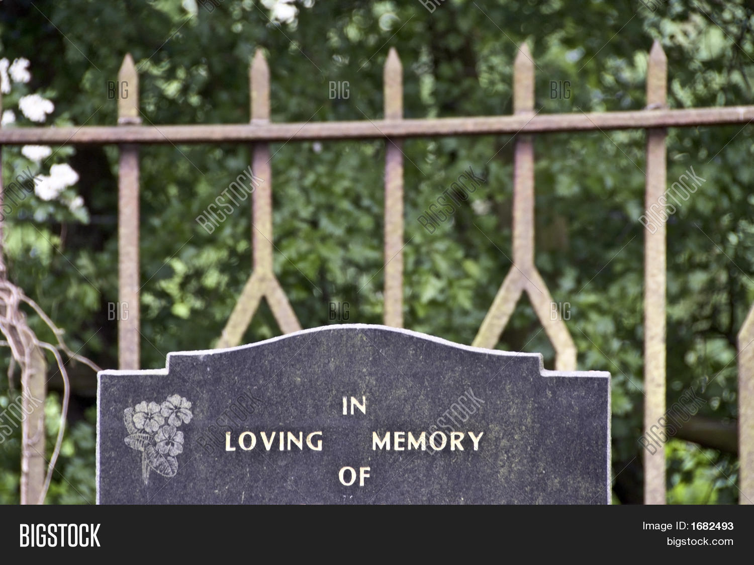 Loving Memory Image & Photo (Free Trial) | Bigstock