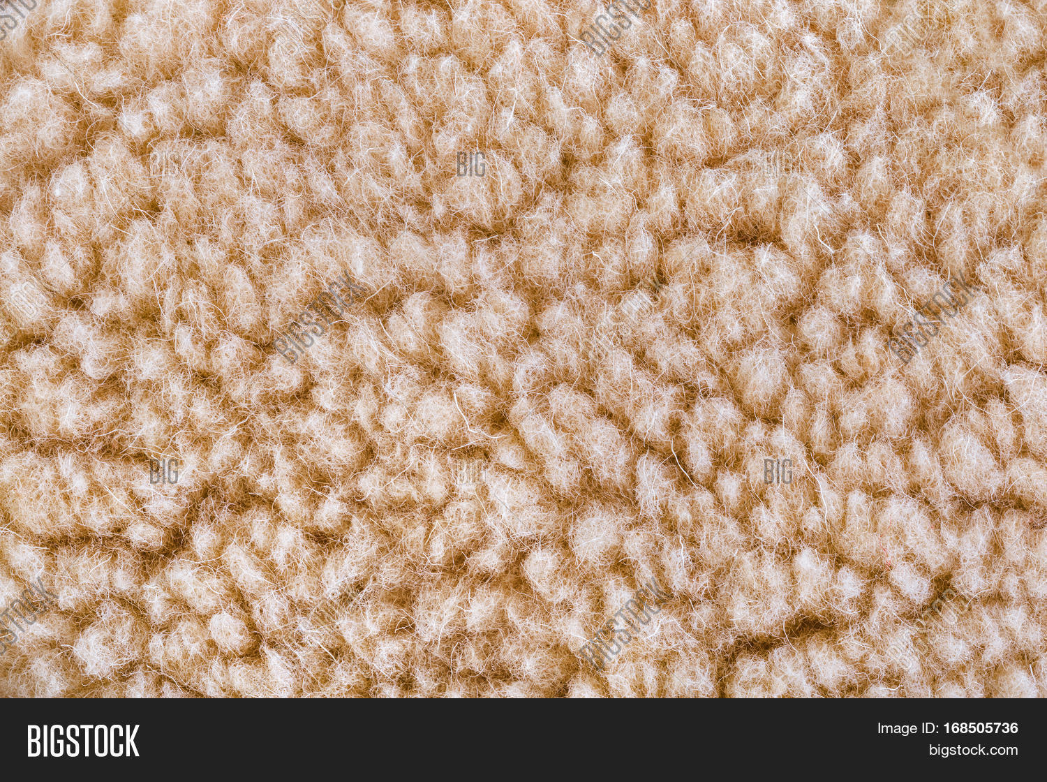 Woolly Sheep Fleece Image & Photo (Free Trial) | Bigstock