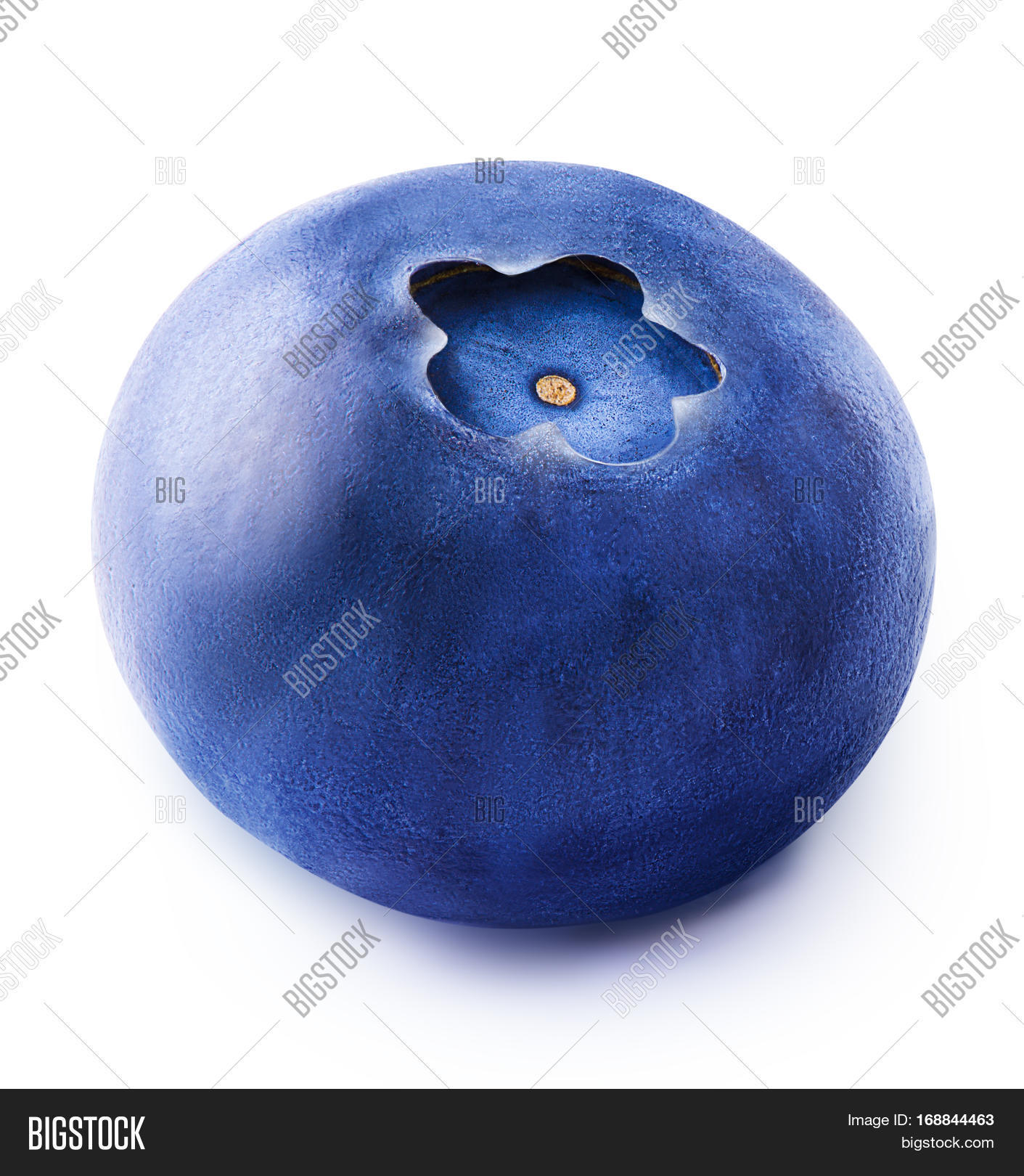 Single Blueberry Berry Image & Photo (Free Trial) | Bigstock