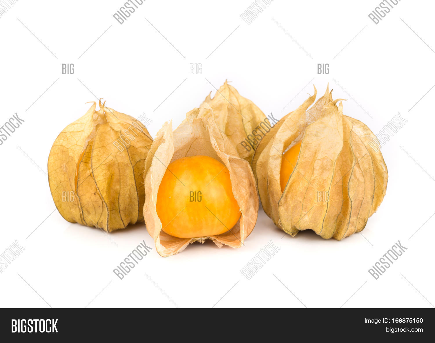 Cape Gooseberry Image & Photo (Free Trial) | Bigstock