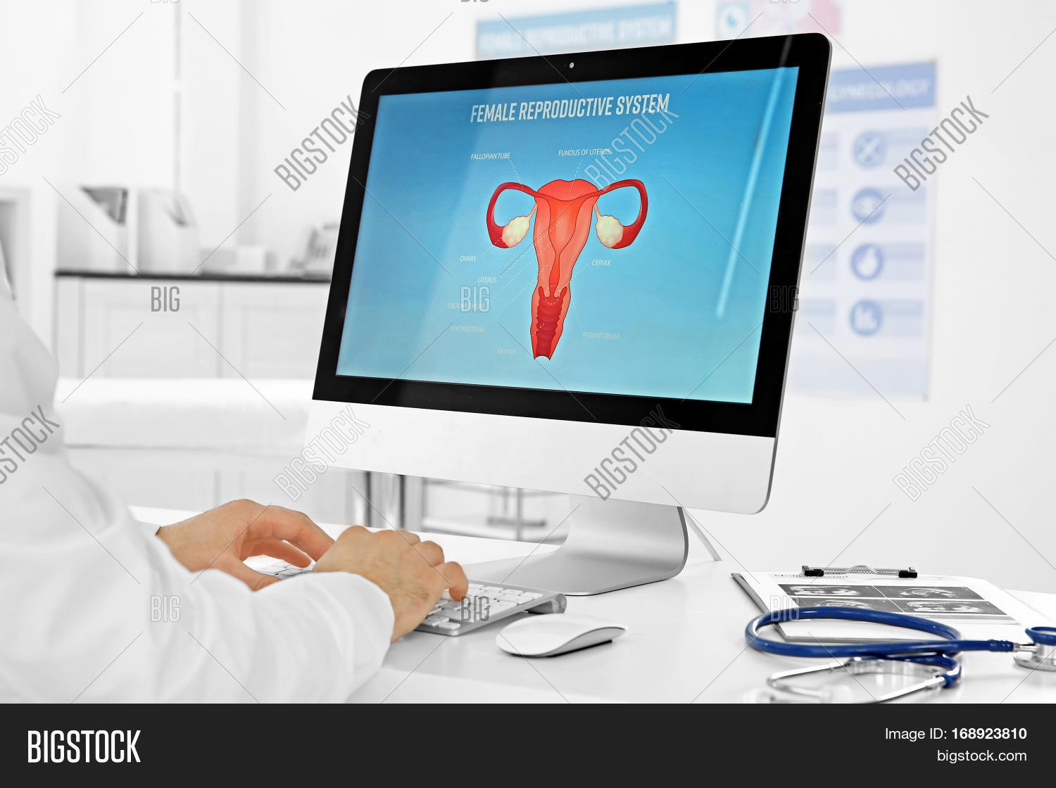 Gynecology Image & Photo (Free Trial) | Bigstock