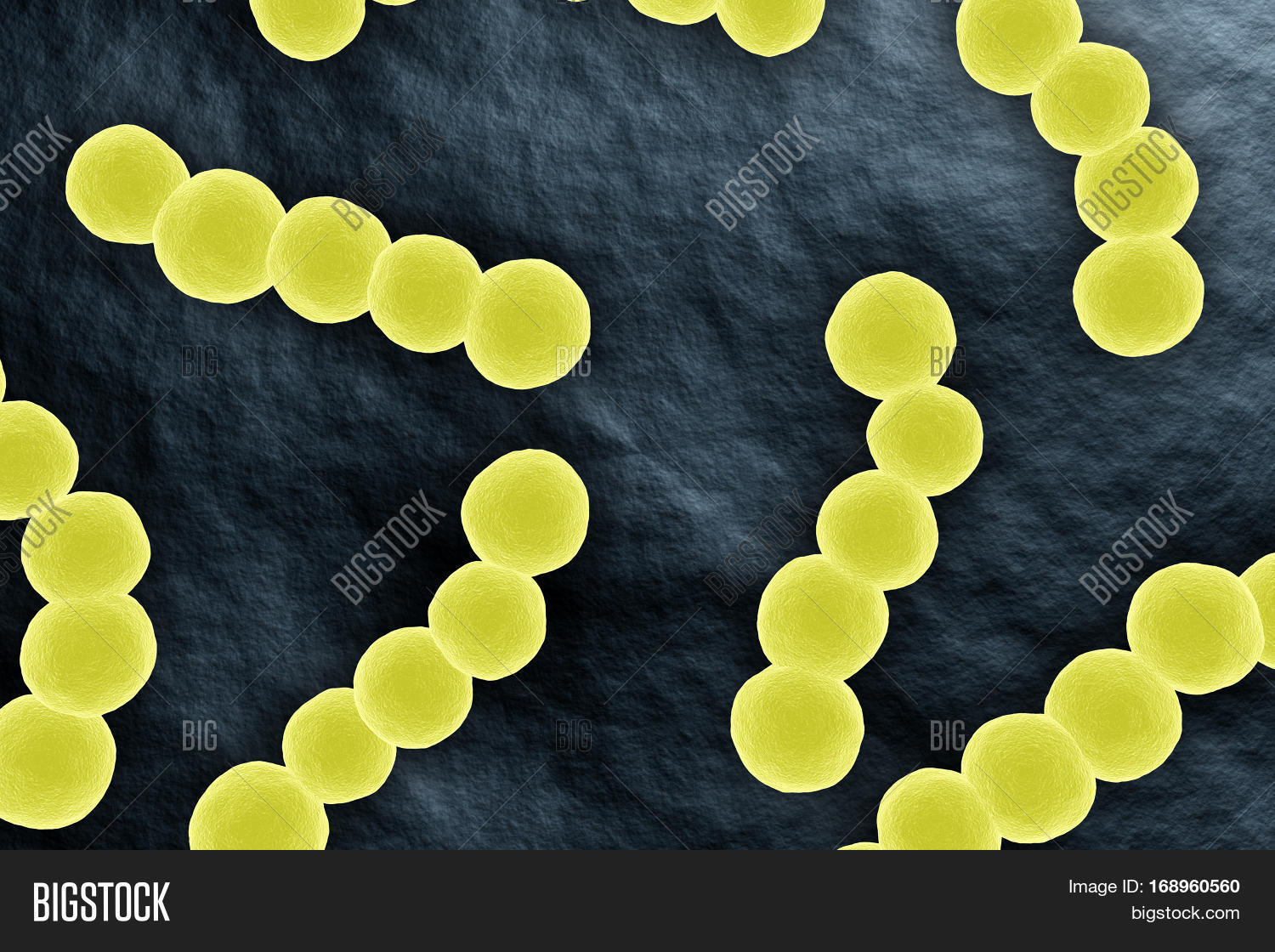 Streptococcus Image & Photo (Free Trial) | Bigstock