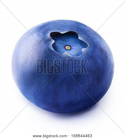 Single Blueberry Berry Image & Photo (Free Trial) | Bigstock