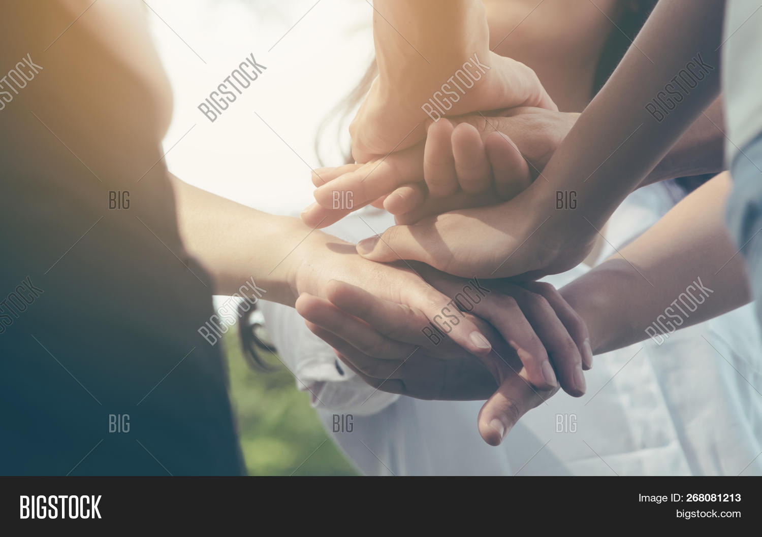 Team Teamwork Business Image & Photo (Free Trial) | Bigstock