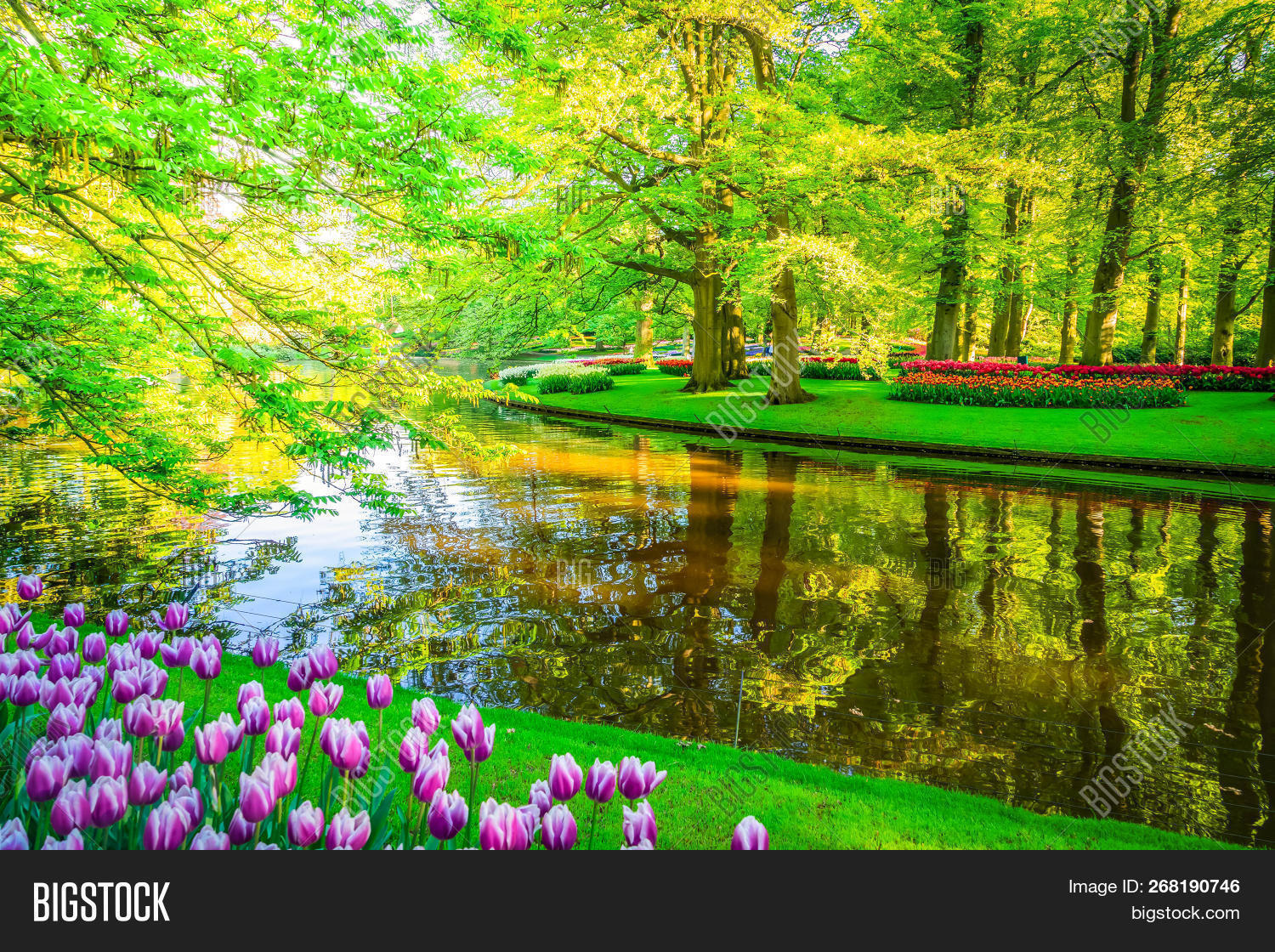Fresh Spring Garden Image & Photo (Free Trial) | Bigstock