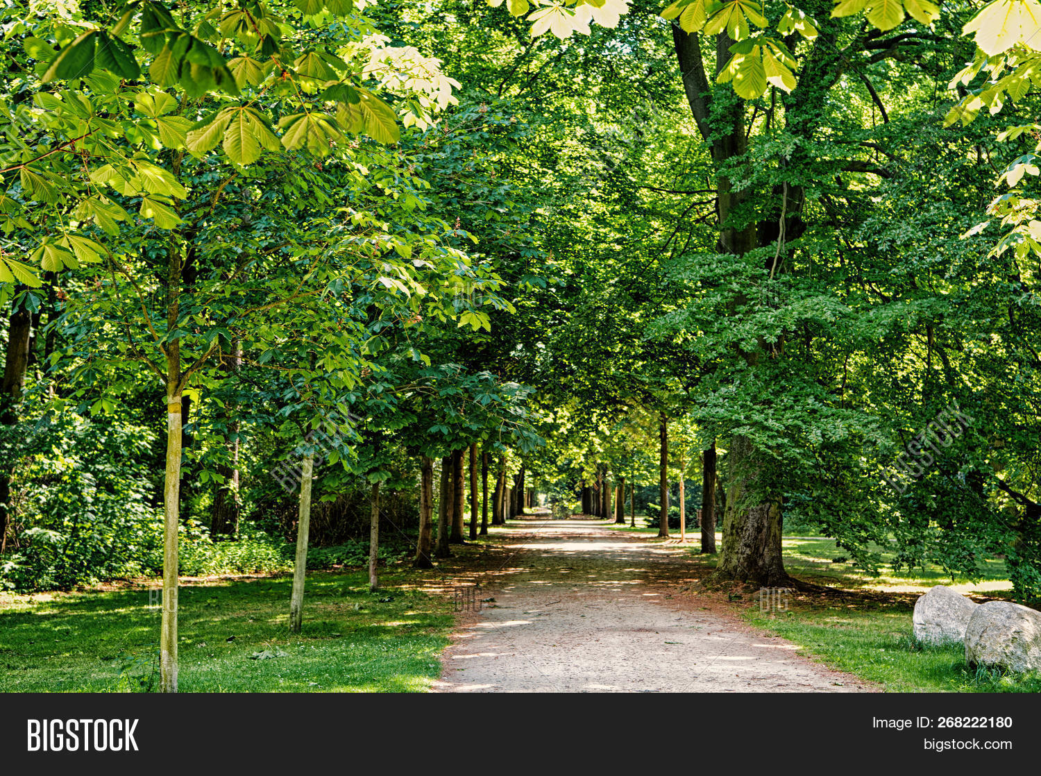 Imagen y foto Beautiful Road Path (prueba gratis) | Bigstock