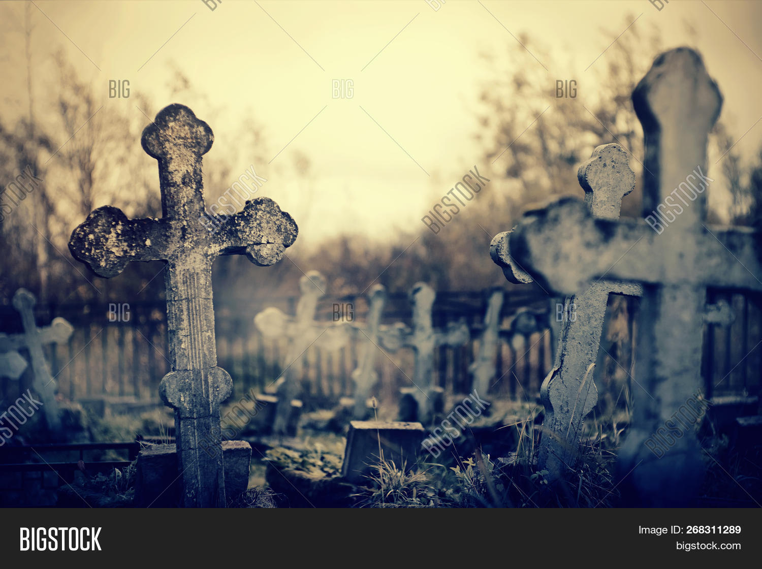 Old Lop-sided Image & Photo (Free Trial) | Bigstock