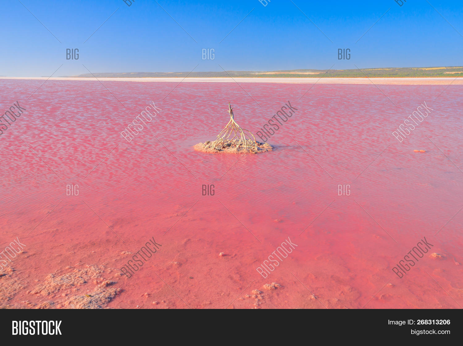 Pink Salt Lake Gregory Image & Photo (Free Trial) | Bigstock