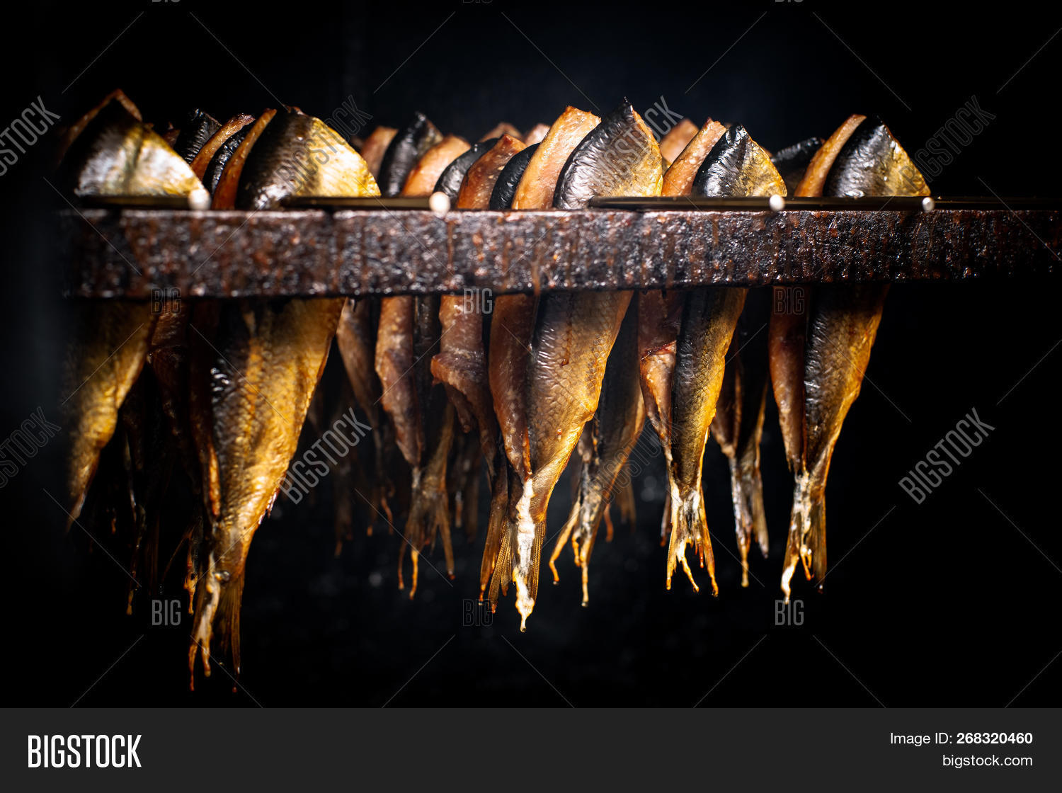 Fish Processing Plant Image & Photo (Free Trial) | Bigstock
