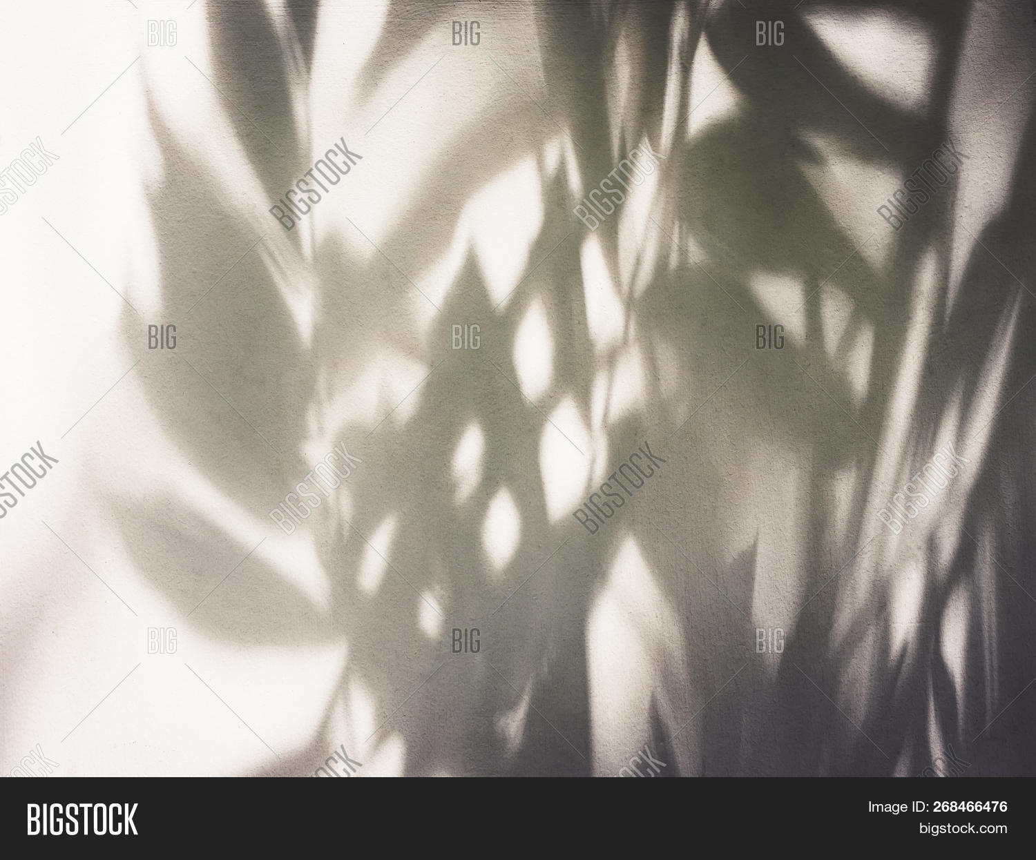 Tree Leaves Shadow On Image & Photo (Free Trial) | Bigstock