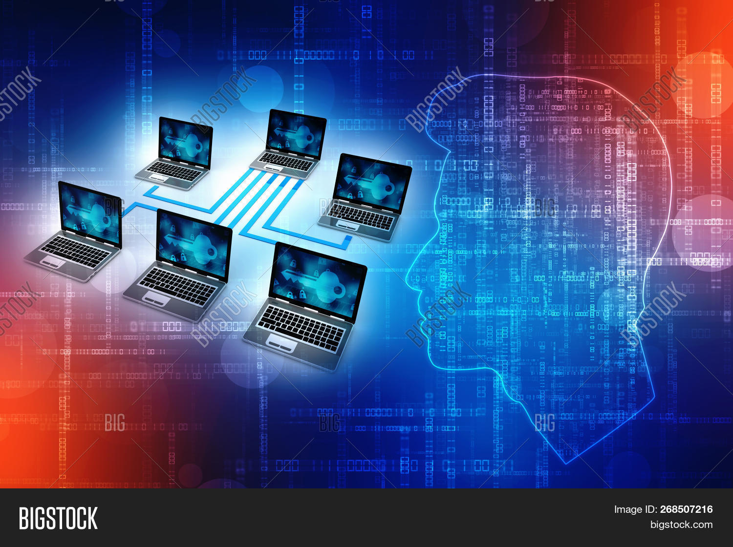 Computer Network, Image & Photo (Free Trial) | Bigstock