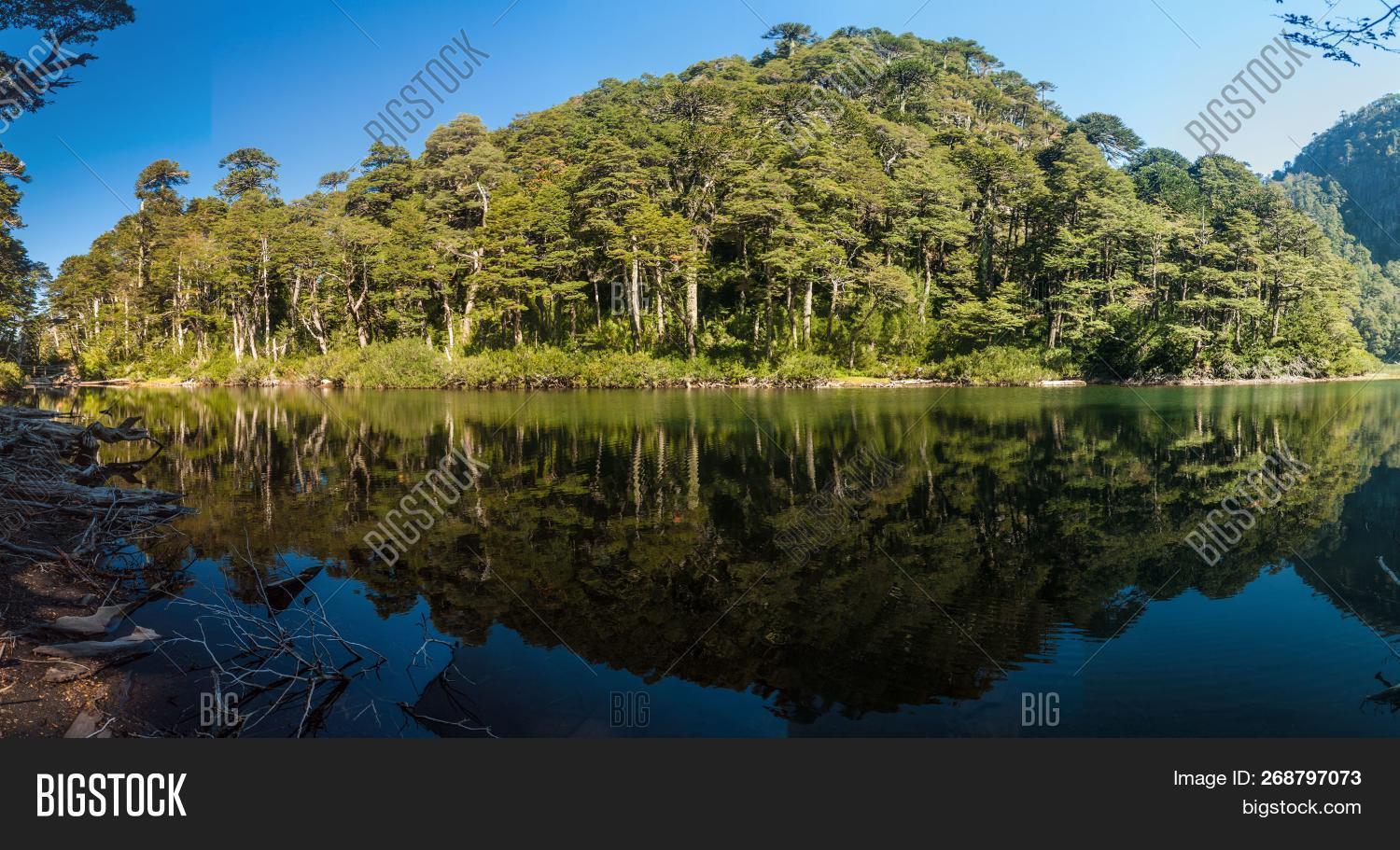 Lago Chico Lake Image & Photo (Free Trial) | Bigstock