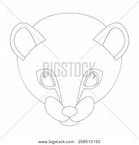 Cartoon Weasel Face Vector & Photo (Free Trial) | Bigstock
