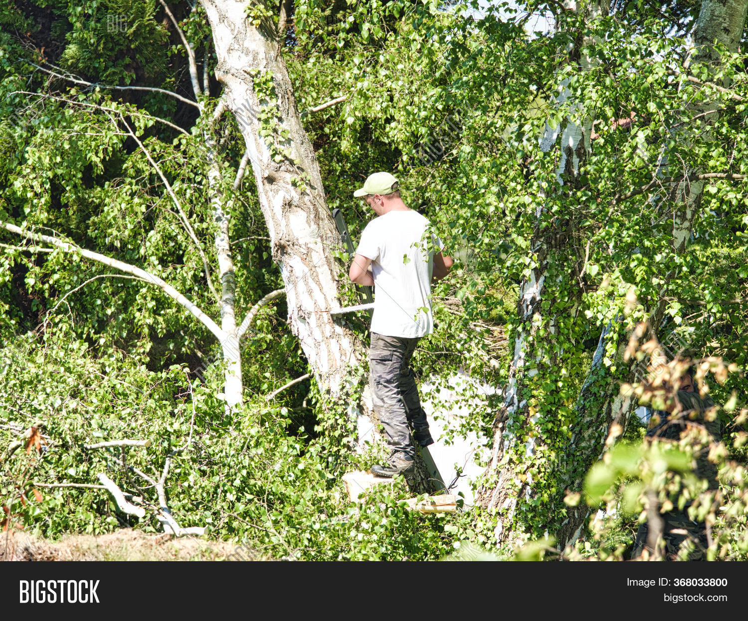 Woodcutter Man Worker Image & Photo (Free Trial) | Bigstock