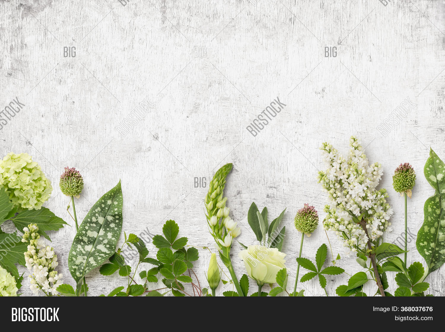 Floristry Garden Image & Photo (Free Trial) | Bigstock