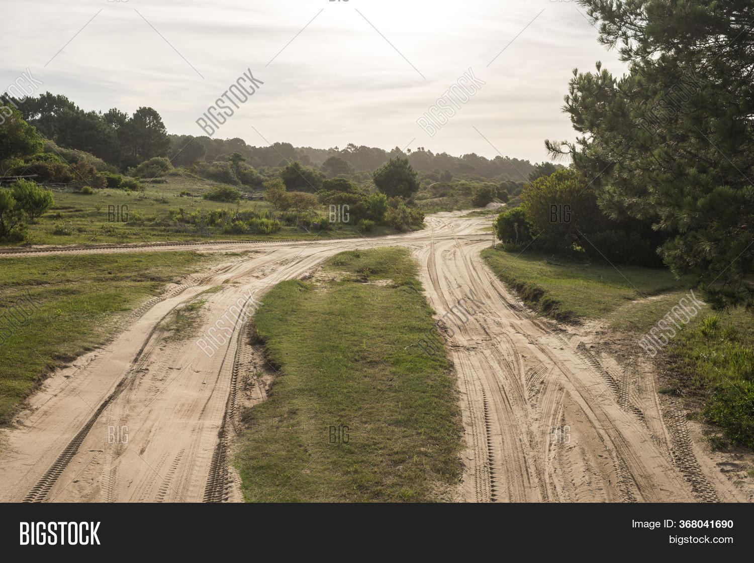 Sand Roads Truck Image & Photo (Free Trial) | Bigstock