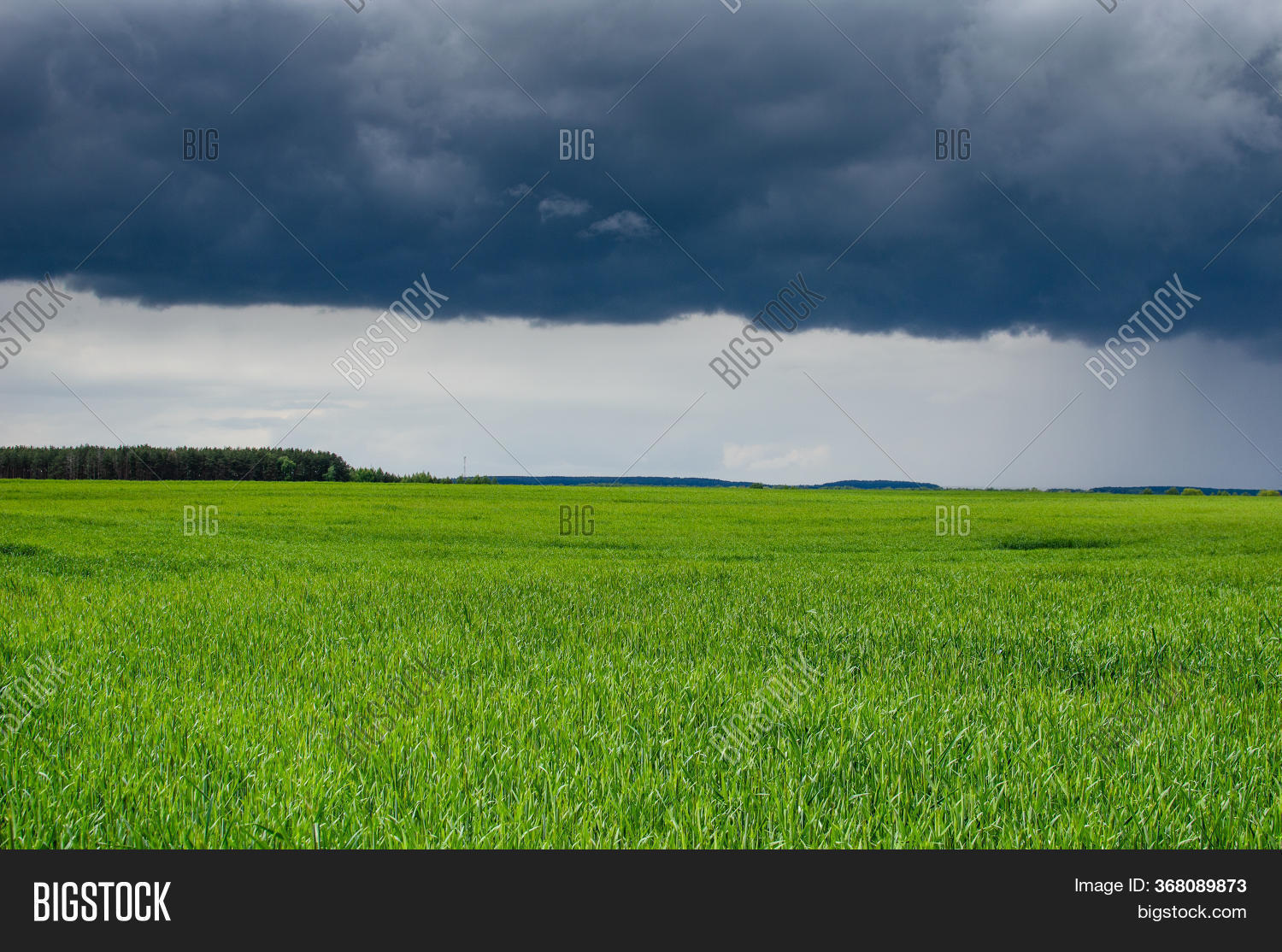 Russia Spring Storm. Image & Photo (Free Trial) | Bigstock
