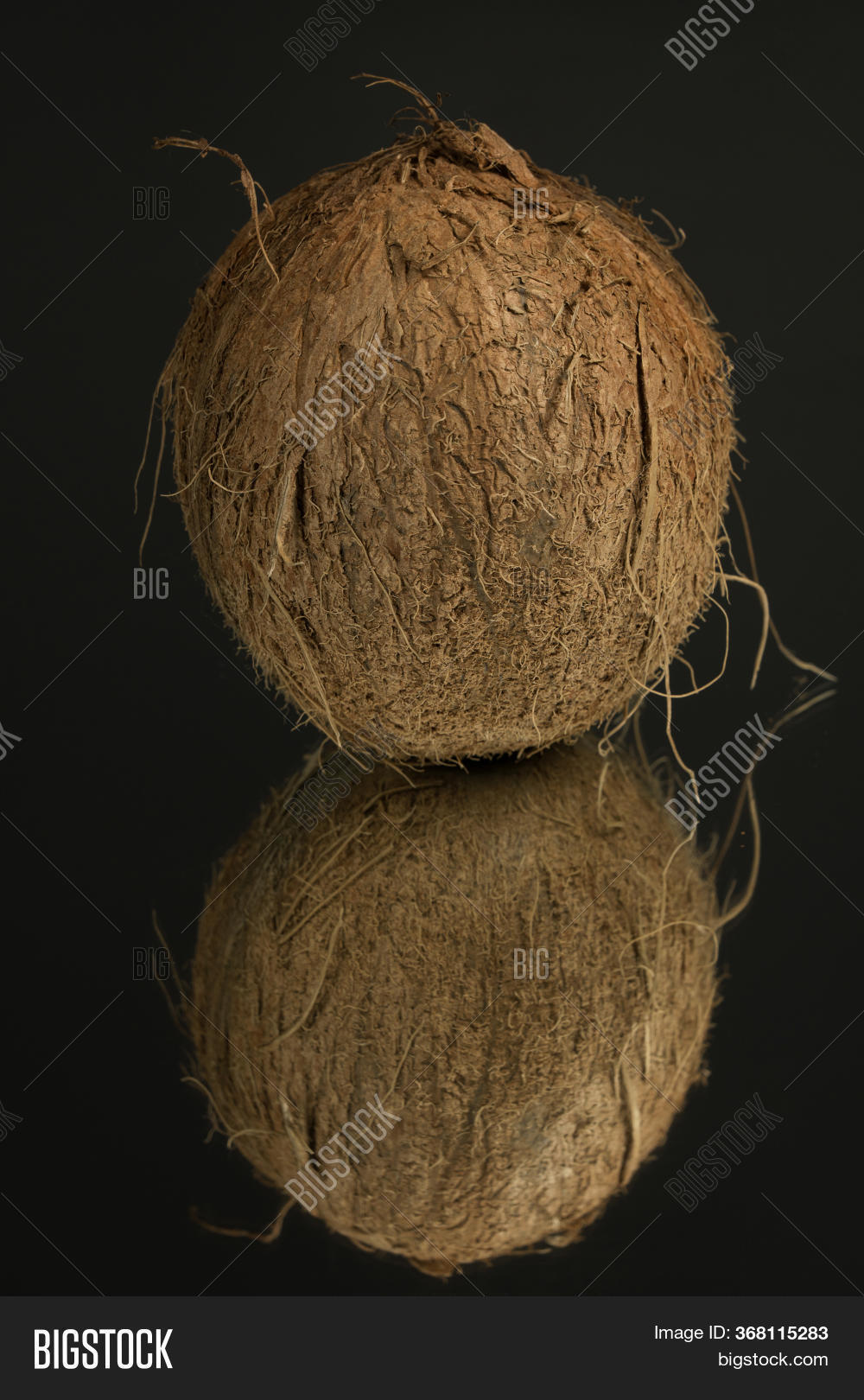Large Shaggy Coconut Image & Photo (Free Trial) | Bigstock