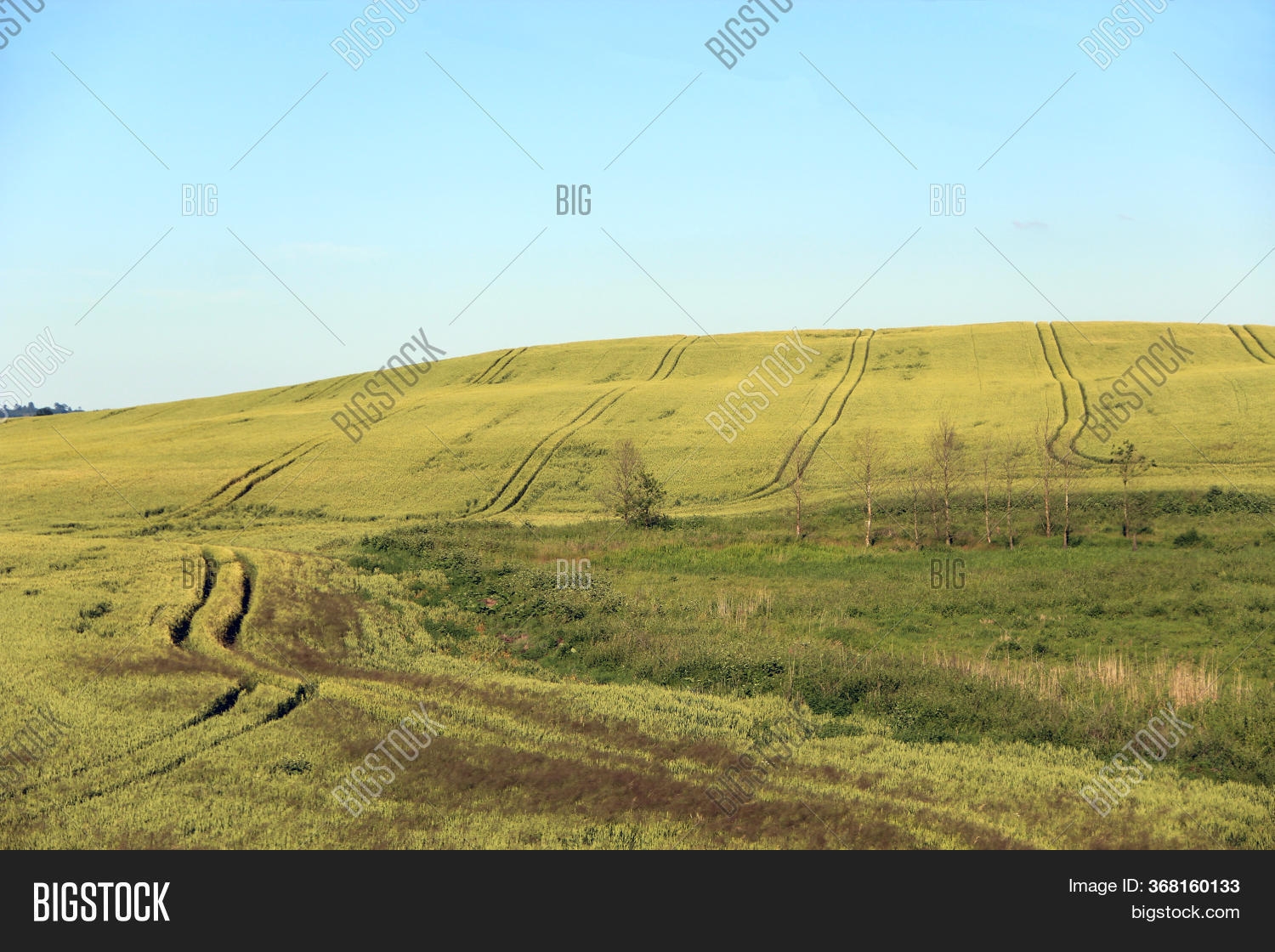 Summer Landscape Rural Image & Photo (Free Trial) | Bigstock