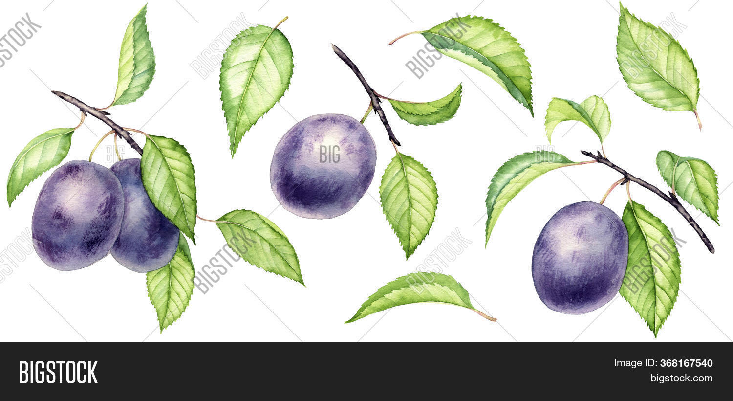 Watercolor Drawing Image & Photo (Free Trial) | Bigstock