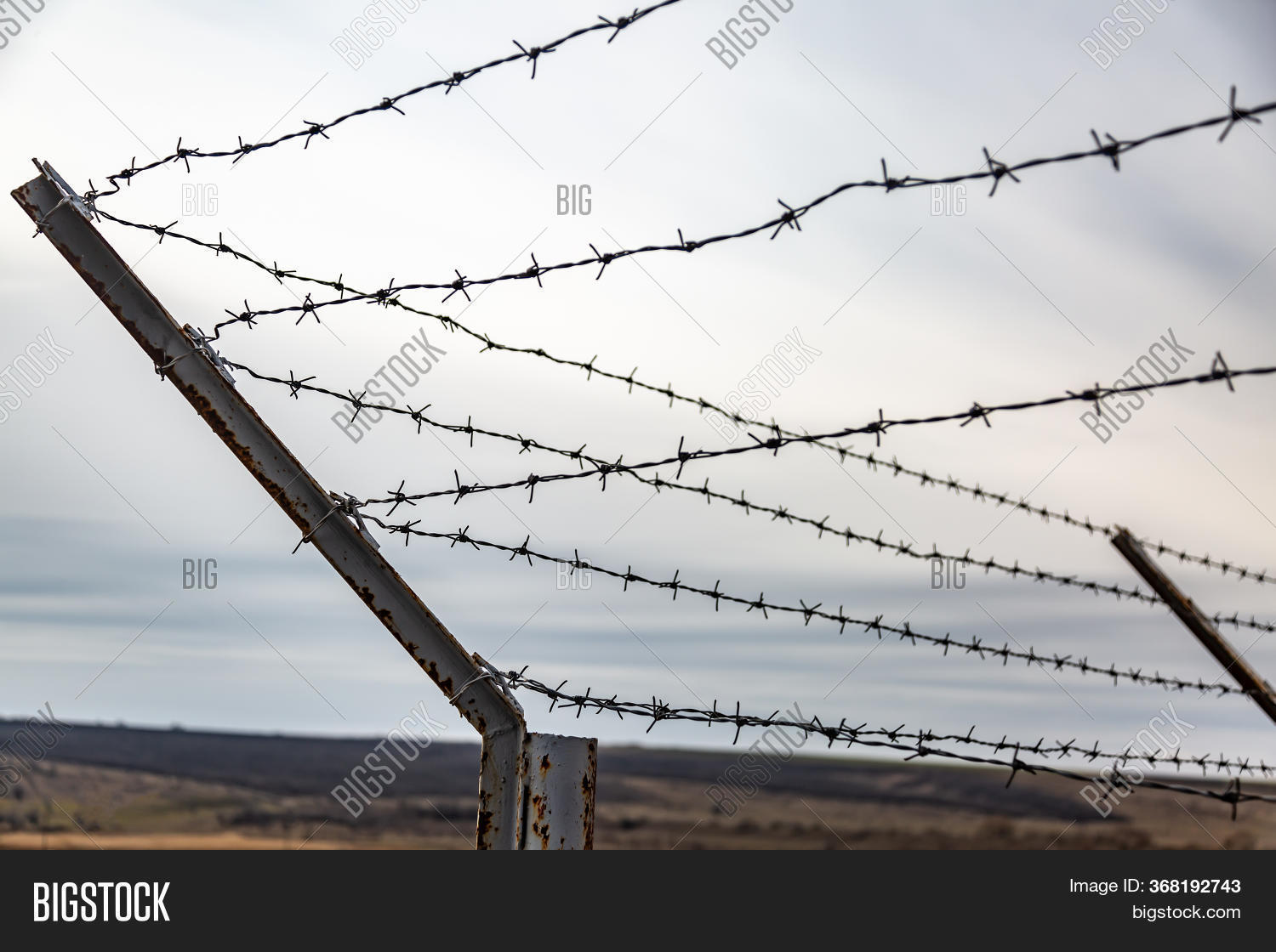 Barbed Wire Several Image & Photo (Free Trial) | Bigstock