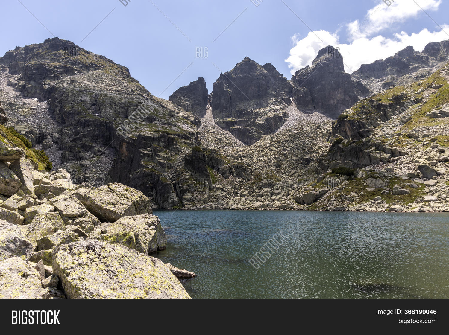 Summer View Scary Lake Image & Photo (Free Trial) | Bigstock