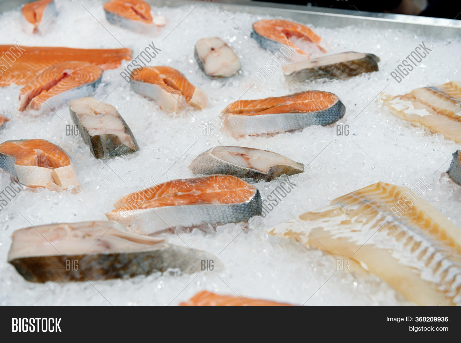 Slices Diverse Fish Image & Photo (Free Trial) | Bigstock