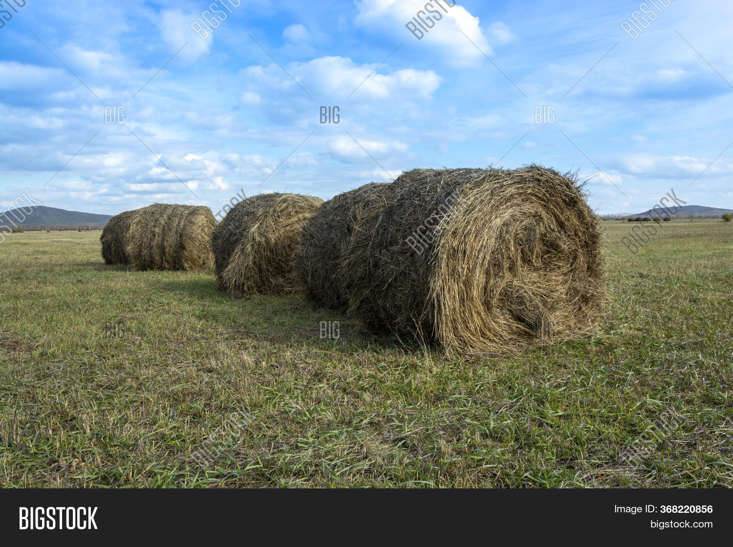 Round Bales Hay. Rolls Image & Photo (Free Trial) | Bigstock