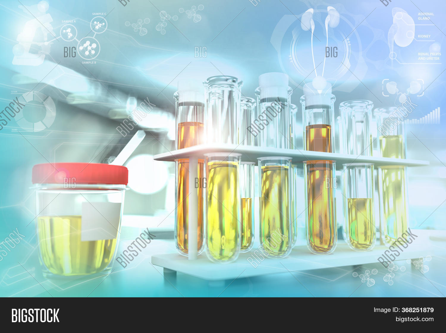 Urine Sample Test Image & Photo (Free Trial) | Bigstock