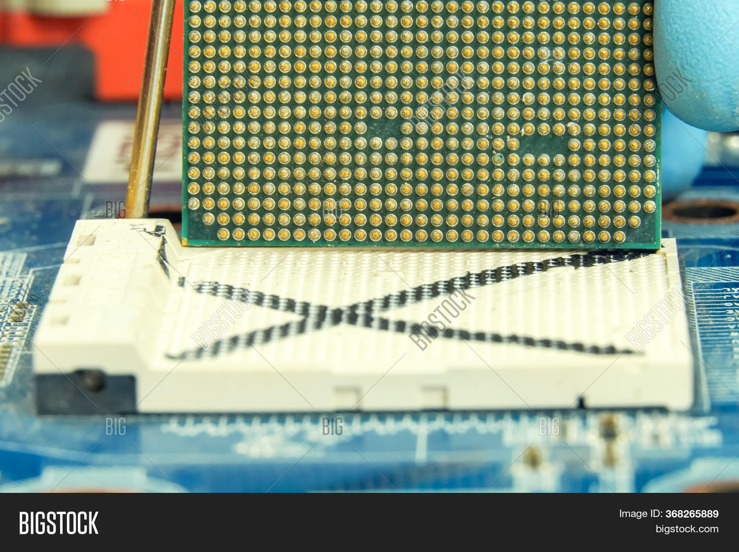 Removing Replacing Image & Photo (Free Trial) | Bigstock