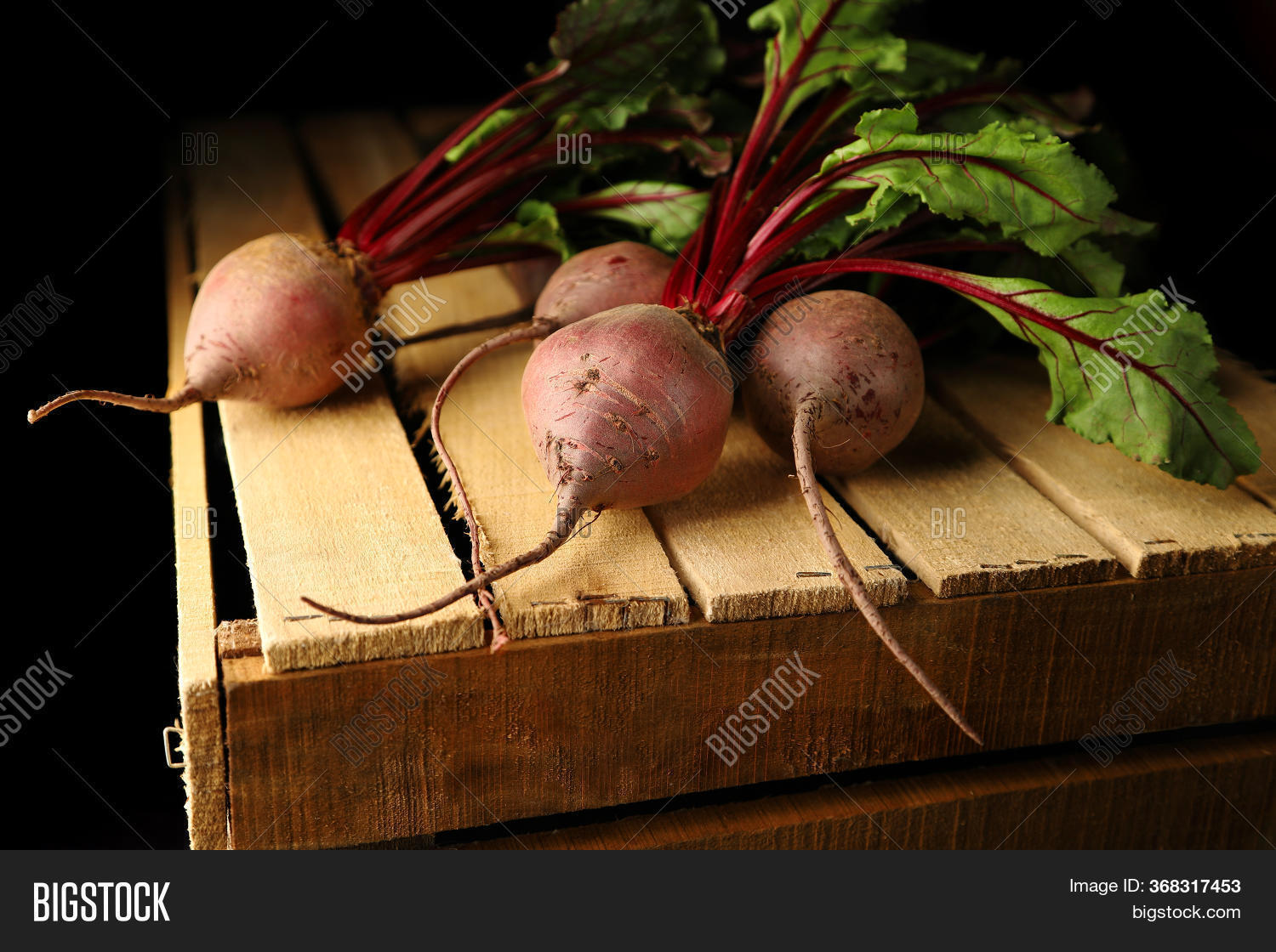 Bunch Fresh Beets Tops Image & Photo (Free Trial) | Bigstock