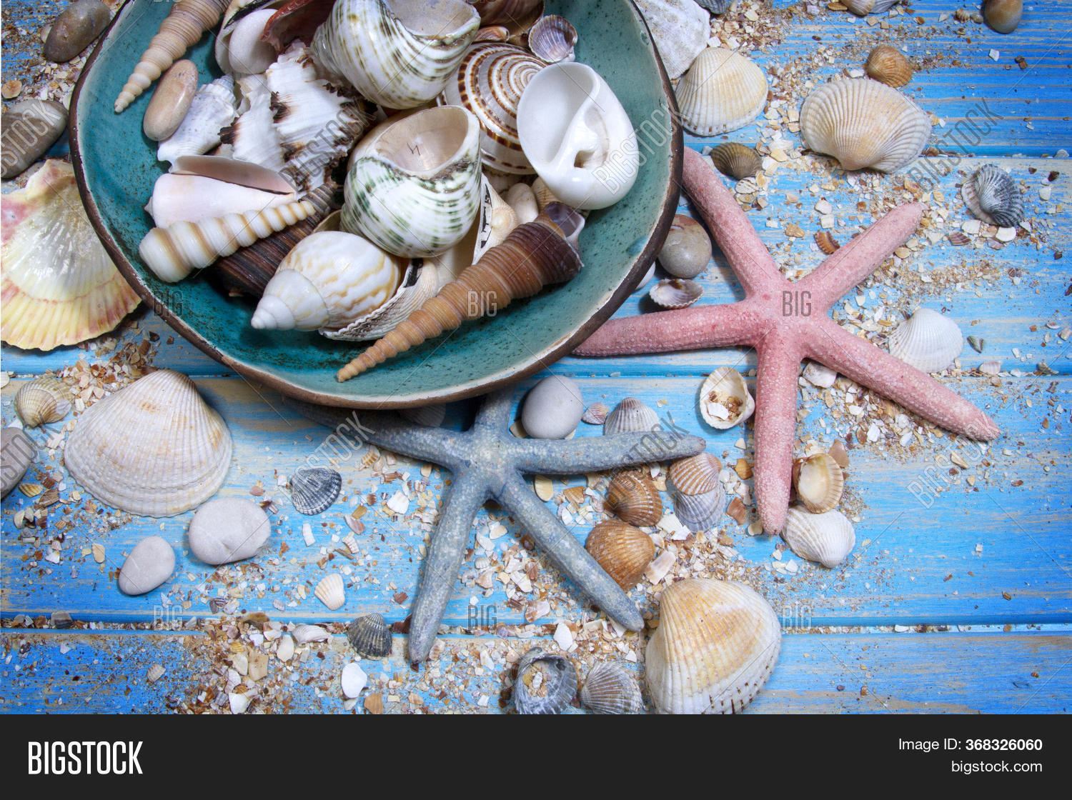 Round Frame Seashells Image & Photo (Free Trial) | Bigstock
