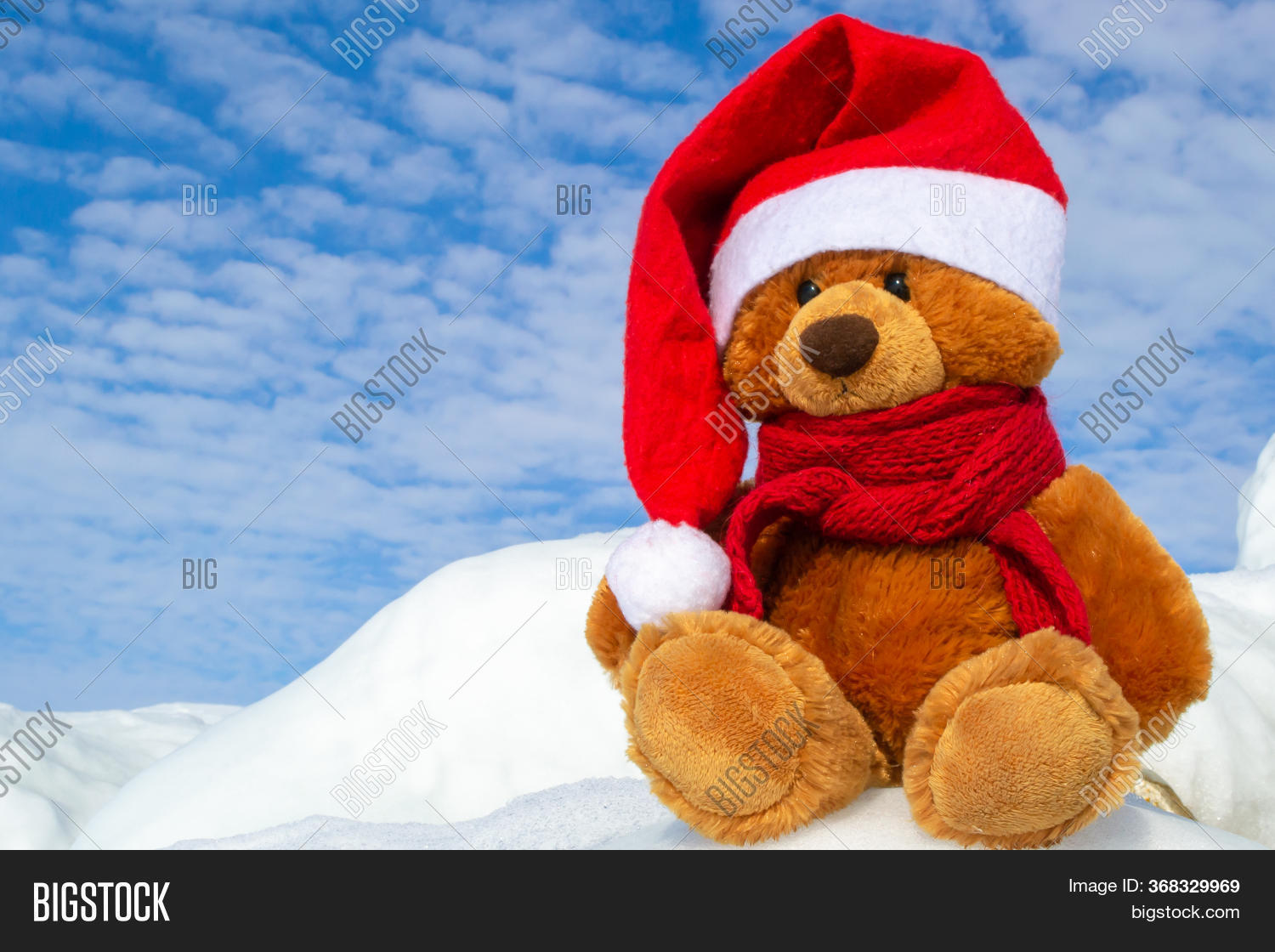 Christmas Bear Santa Image & Photo (Free Trial) | Bigstock