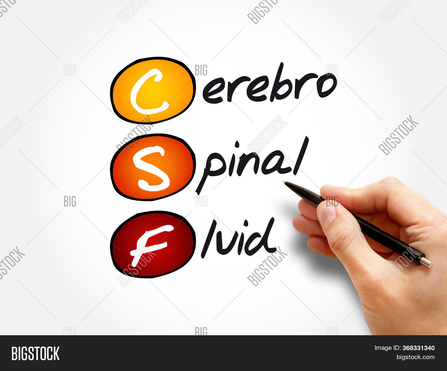 Csf - Cerebrospinal Image & Photo (Free Trial) | Bigstock