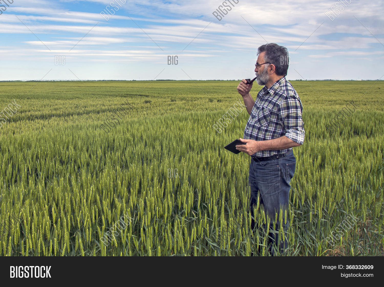 Farmer Field Checks Image & Photo (Free Trial) | Bigstock