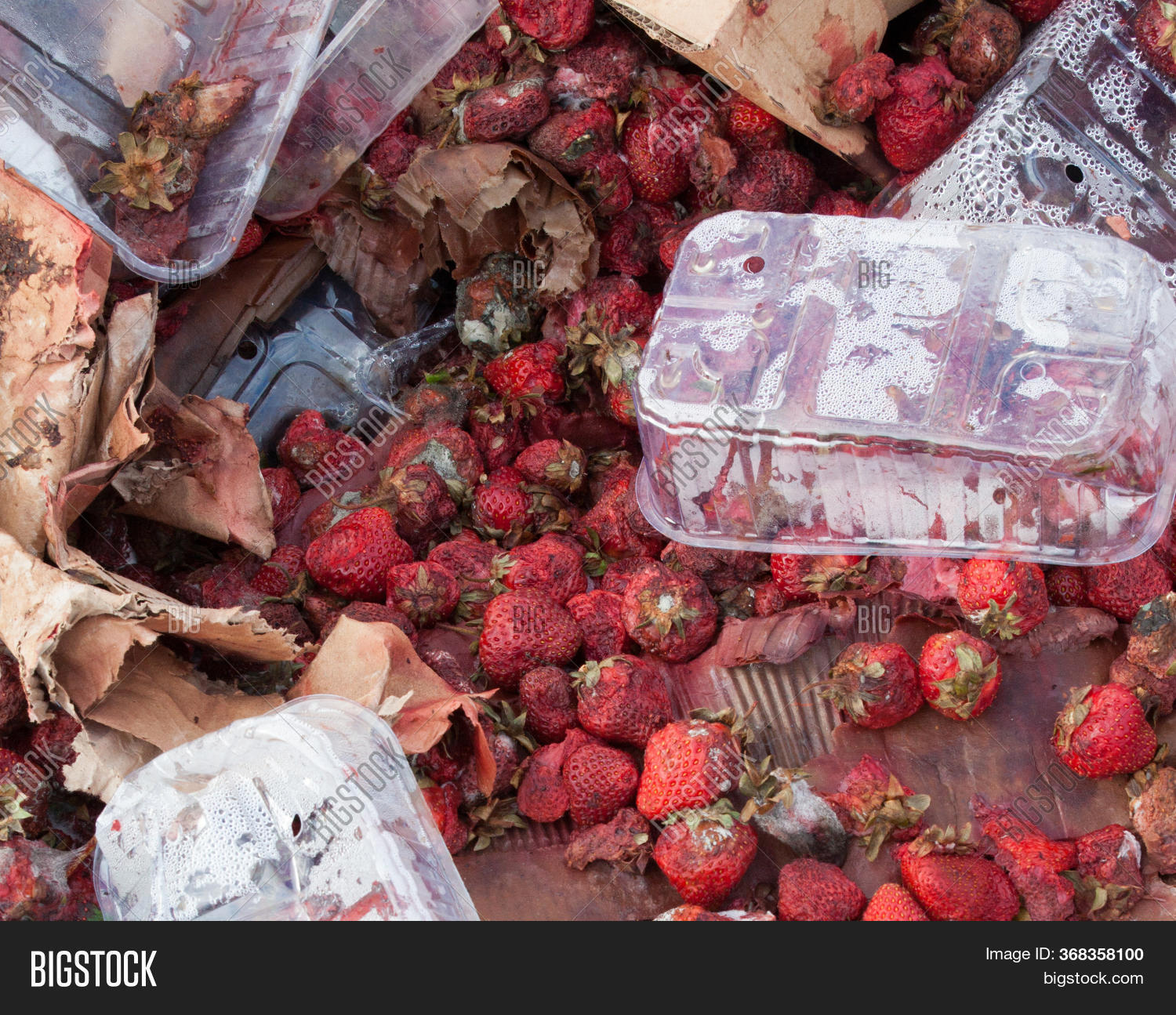 Rotten Garden Image & Photo (Free Trial) | Bigstock