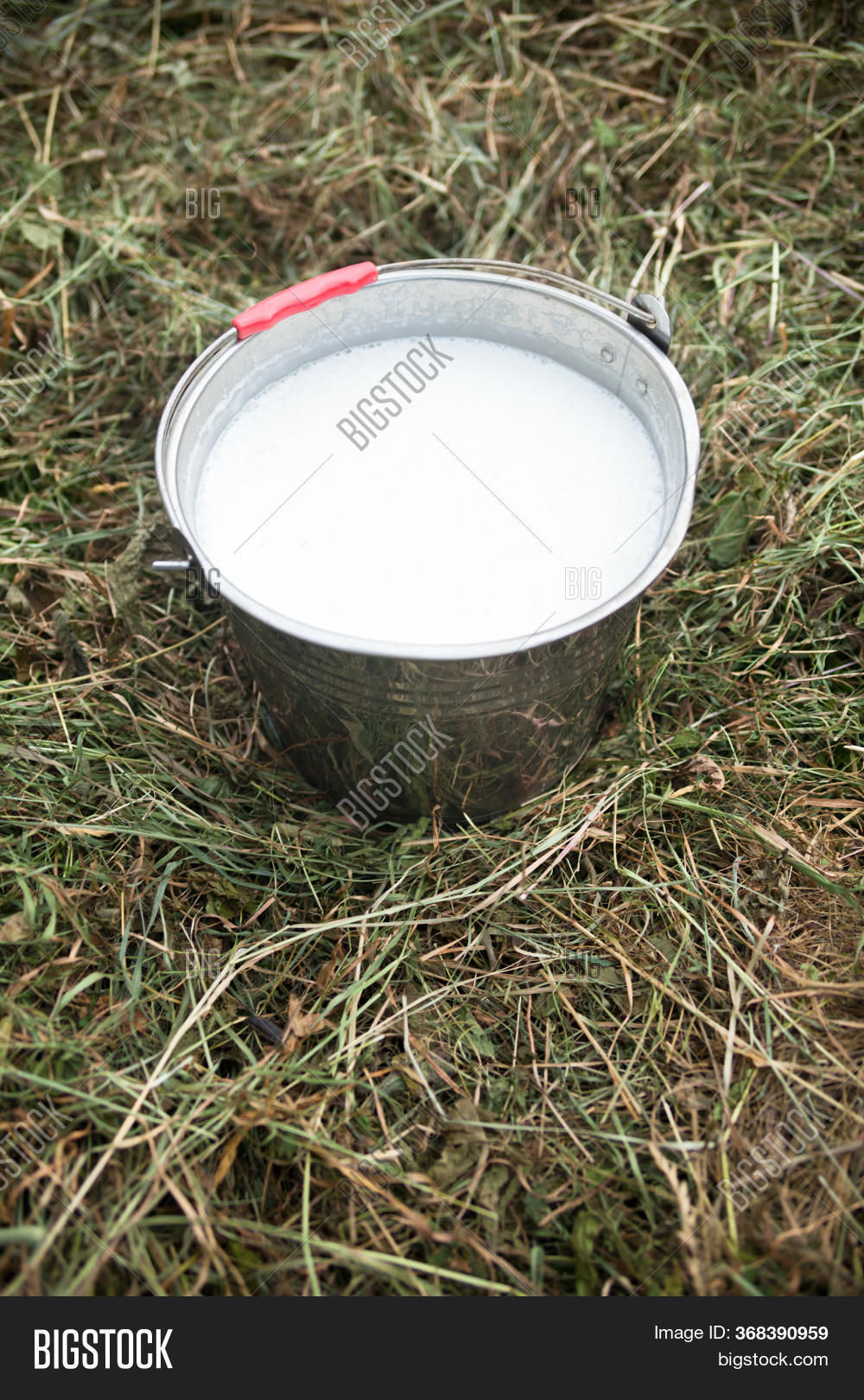 Metal Bucket Fresh Image & Photo (Free Trial) | Bigstock