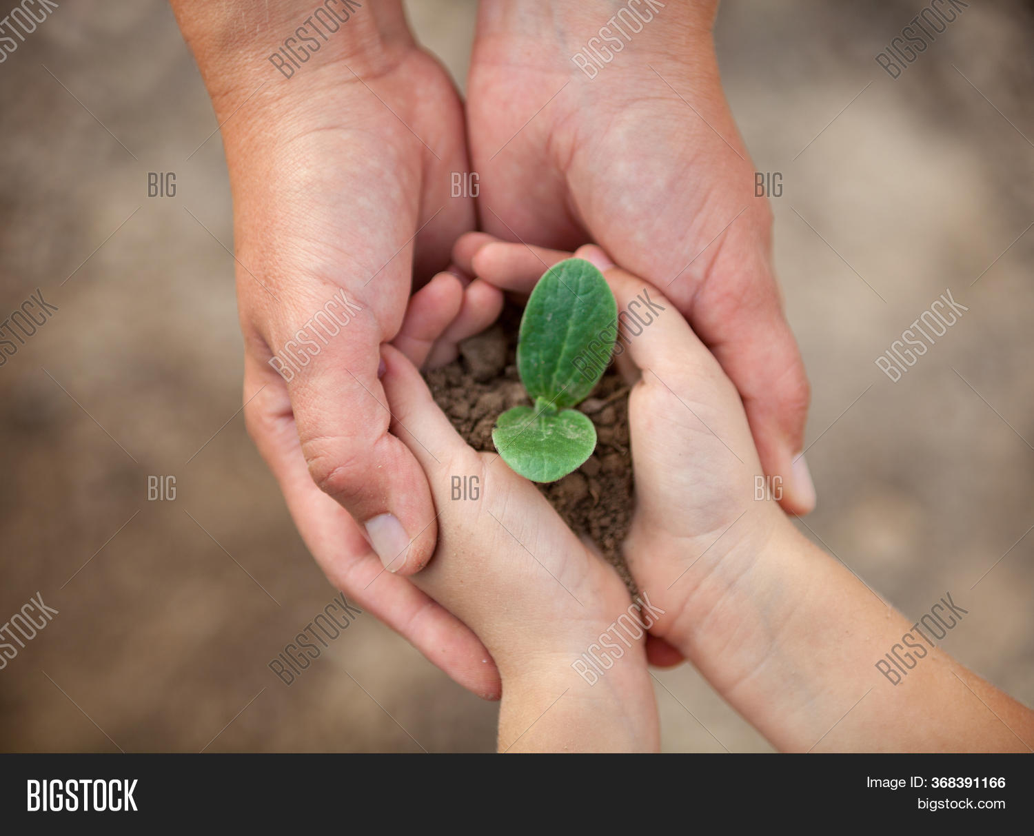 Kid's Grown-'s Hands Image & Photo (Free Trial) | Bigstock