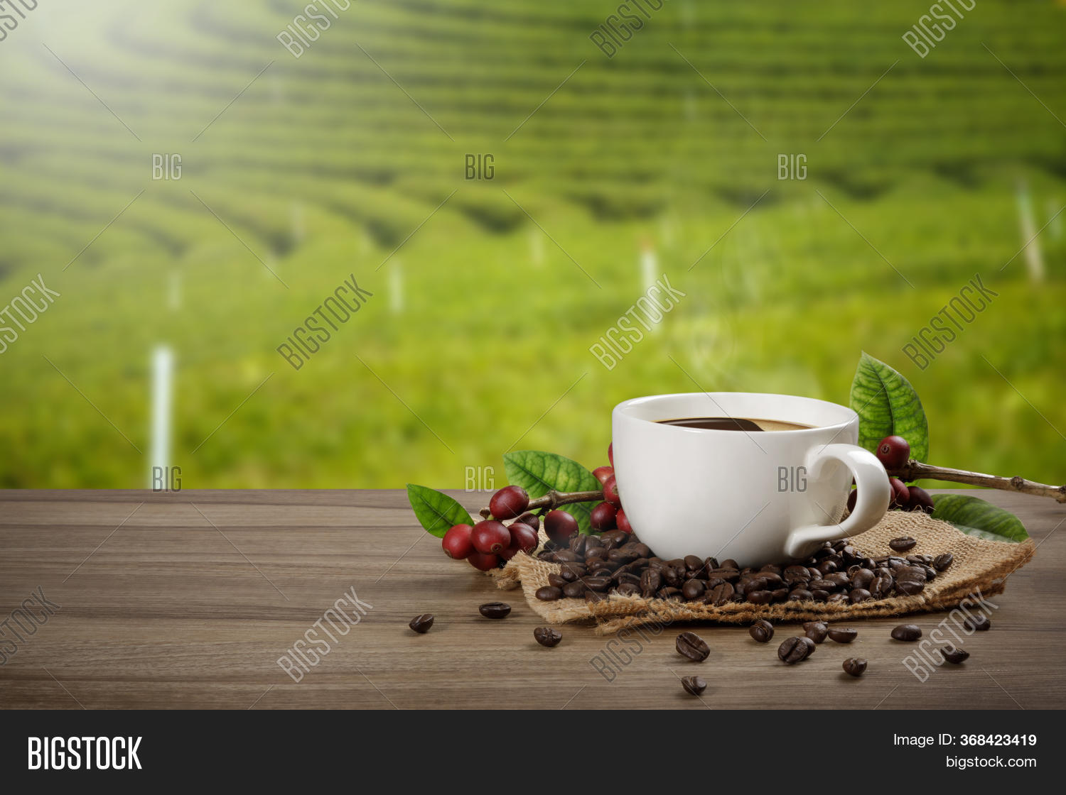 Hot Coffee Cup Fresh Image & Photo (Free Trial) | Bigstock