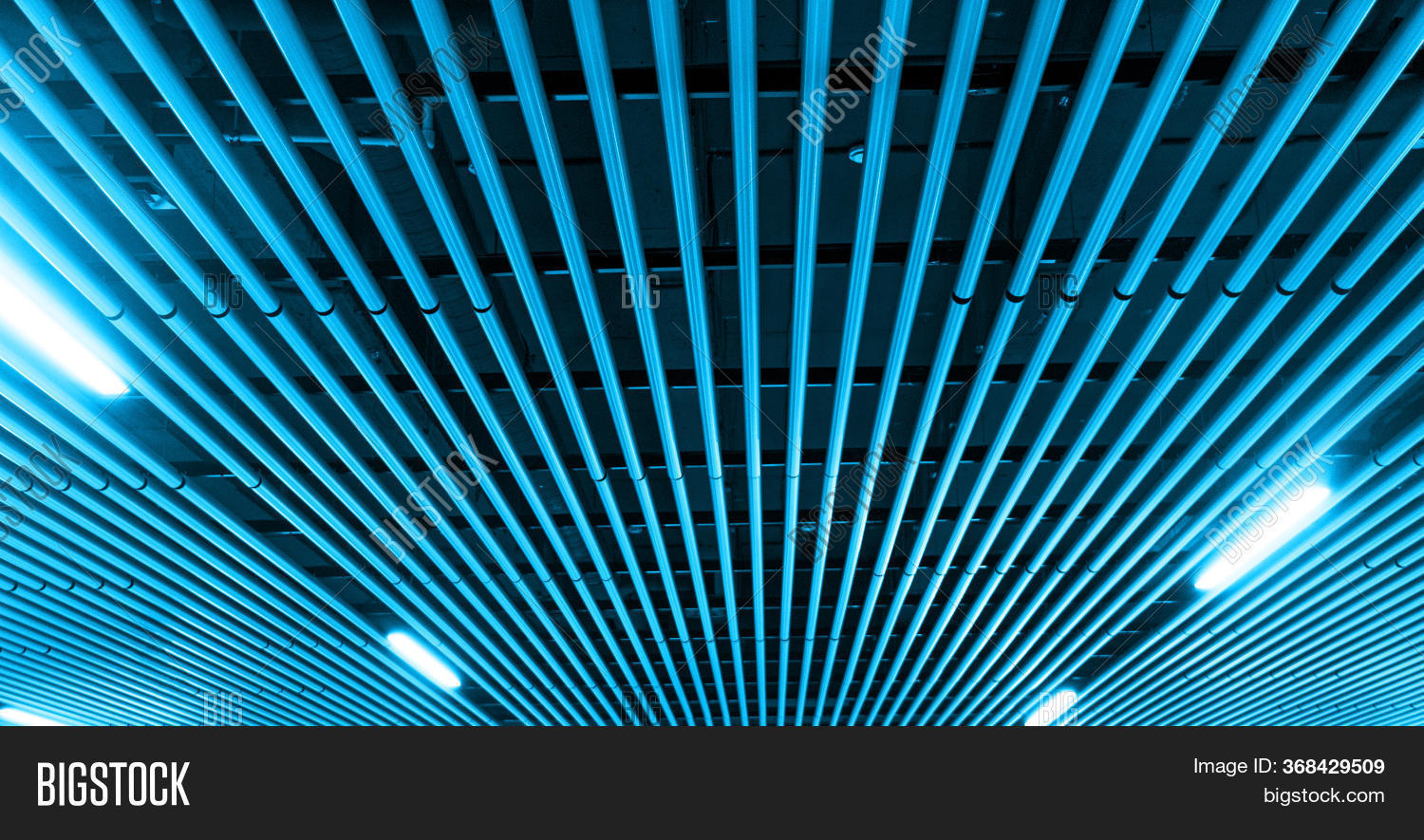Blue Lights Image & Photo (Free Trial) | Bigstock