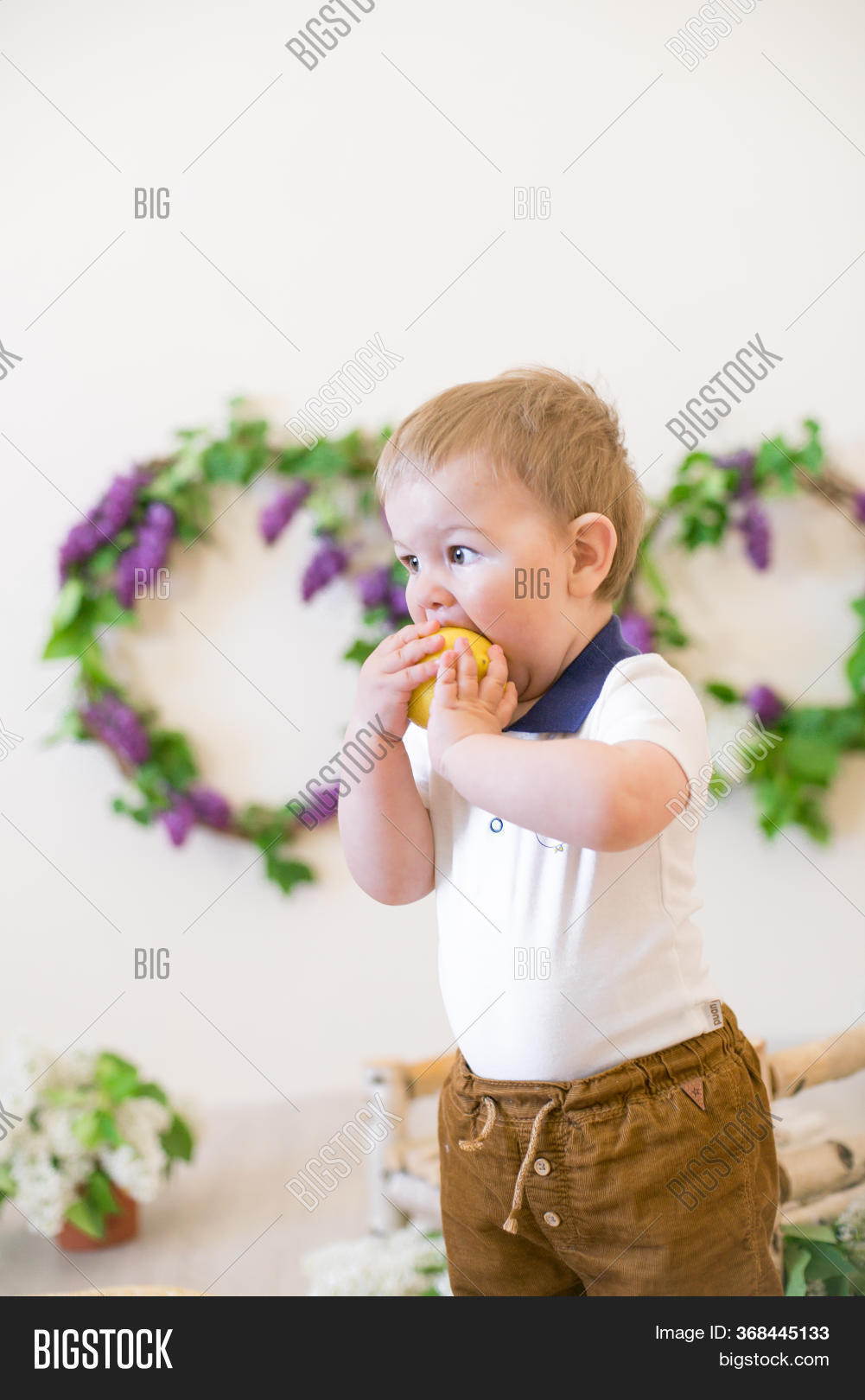 Little Boy Spring Image & Photo (Free Trial) | Bigstock