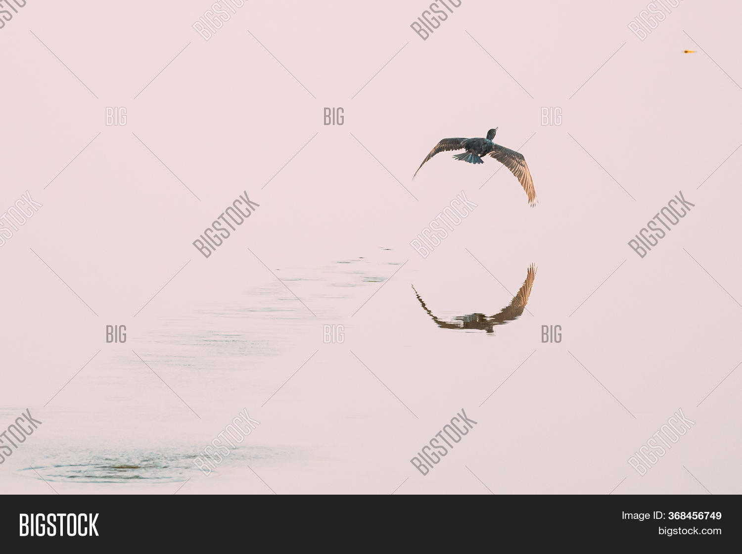 Carambolim Lake, Goa, Image & Photo (Free Trial) | Bigstock