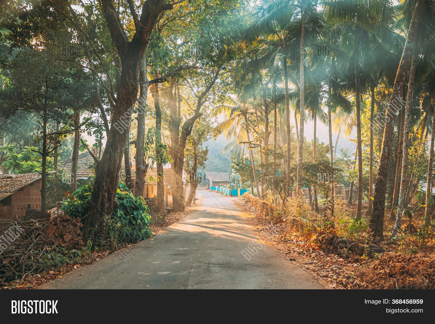 Goa, India. Country Image & Photo (Free Trial) | Bigstock