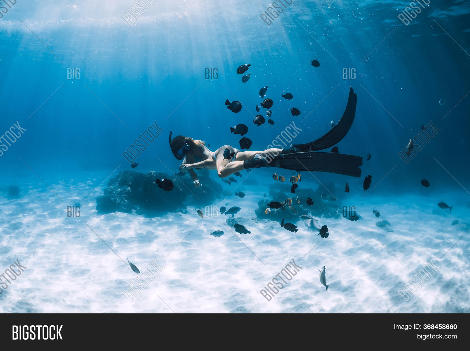 Freediver Girl Bikini Image & Photo (Free Trial) | Bigstock