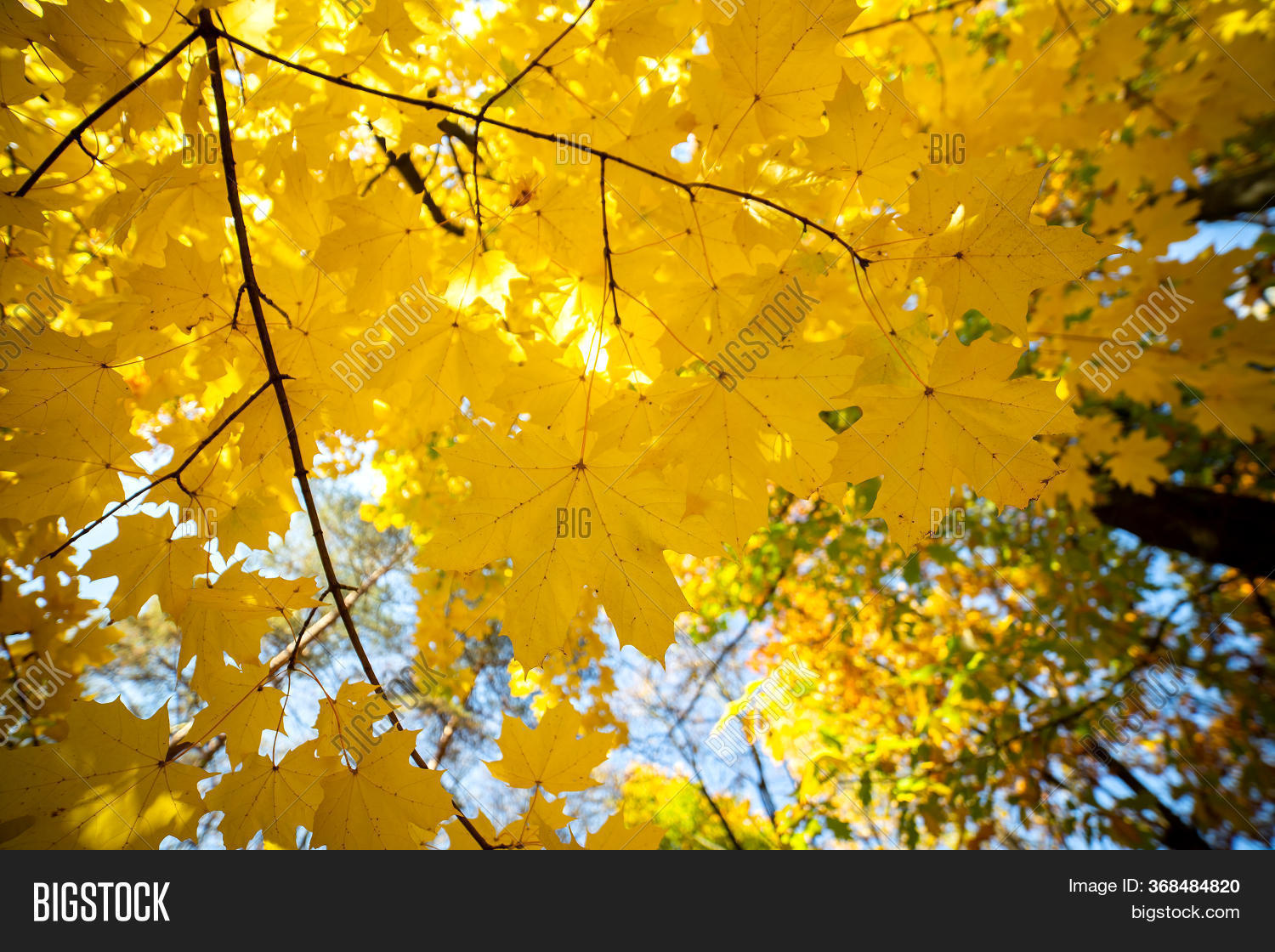 Perspective View Image & Photo (Free Trial) | Bigstock