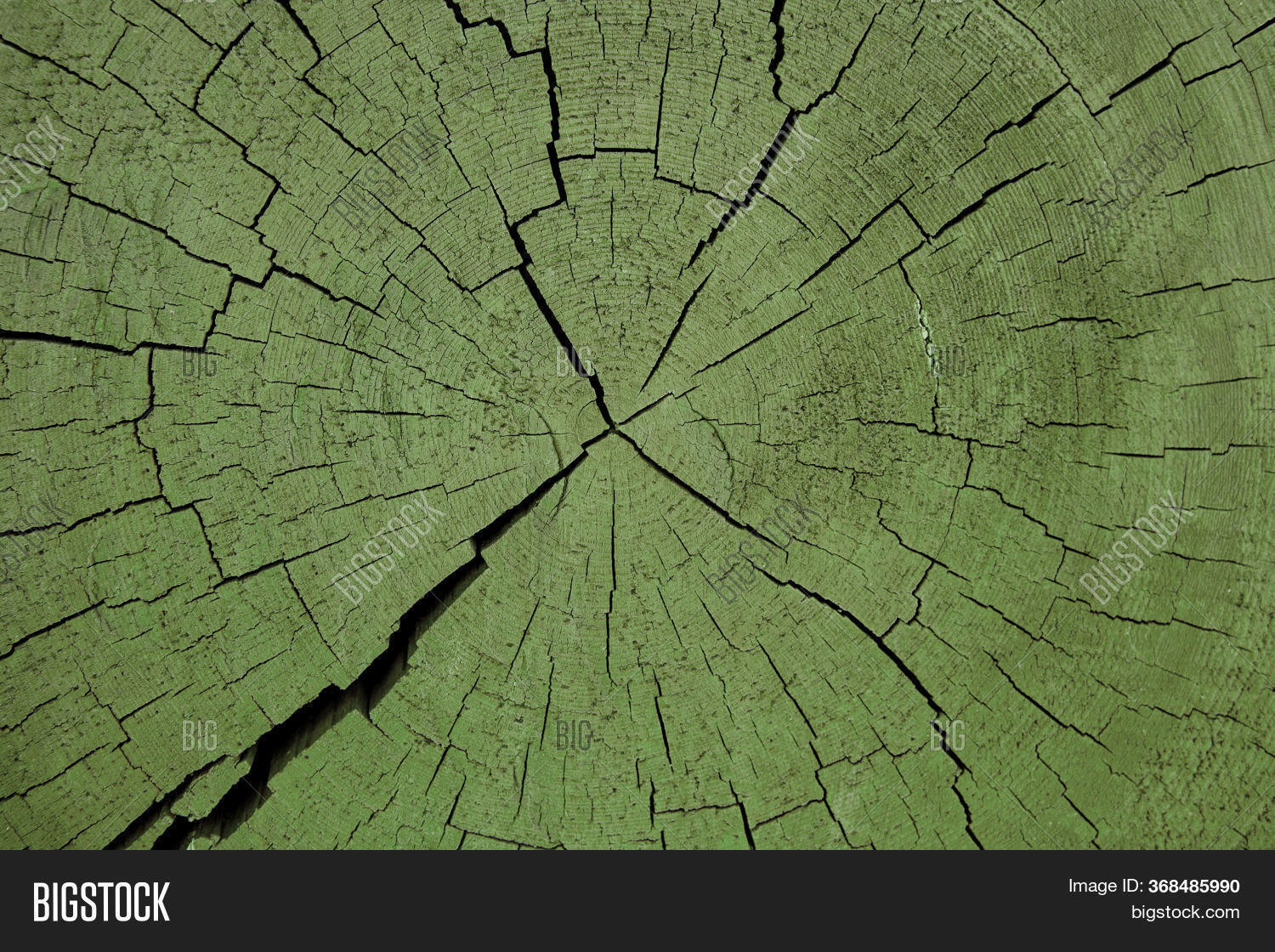 Image Wooden Stub Image & Photo (Free Trial) | Bigstock