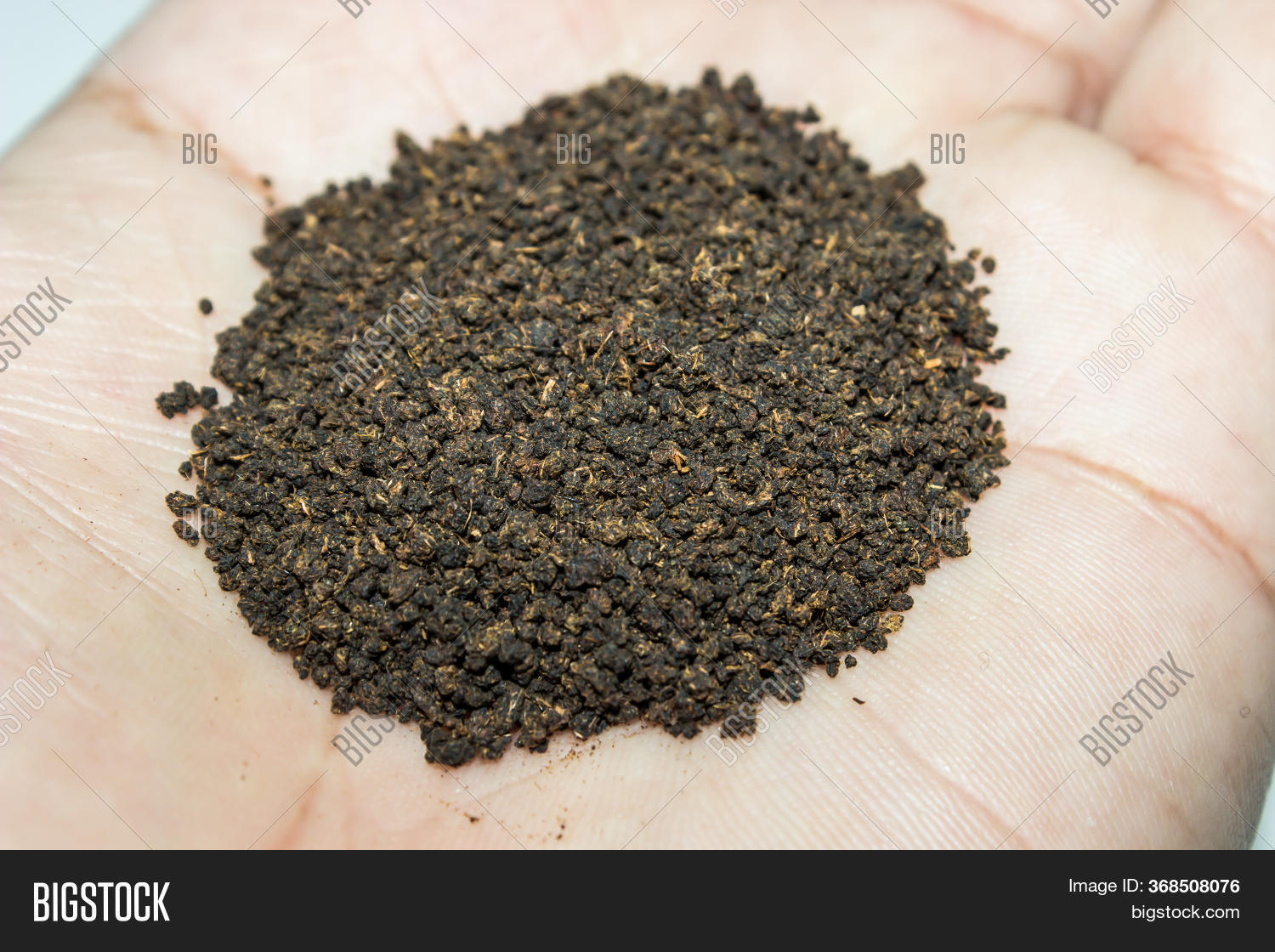 Picture Chai Patti Image & Photo (Free Trial) | Bigstock