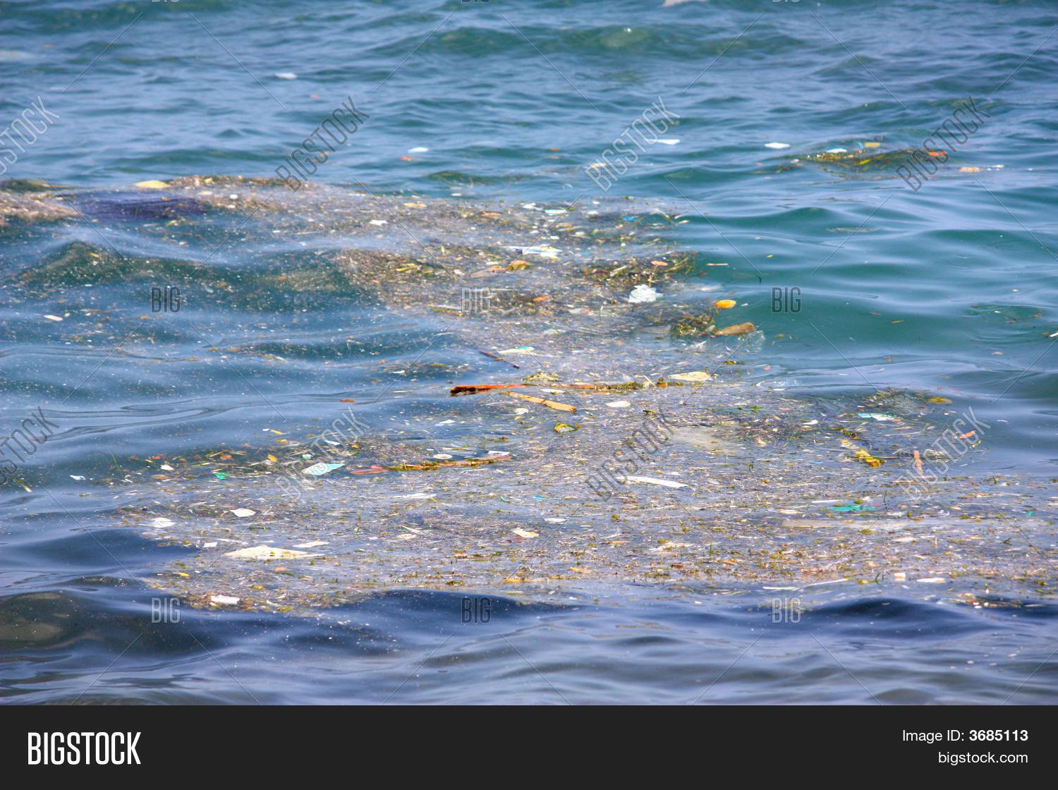 Polluted Sea Water Image & Photo (Free Trial) | Bigstock